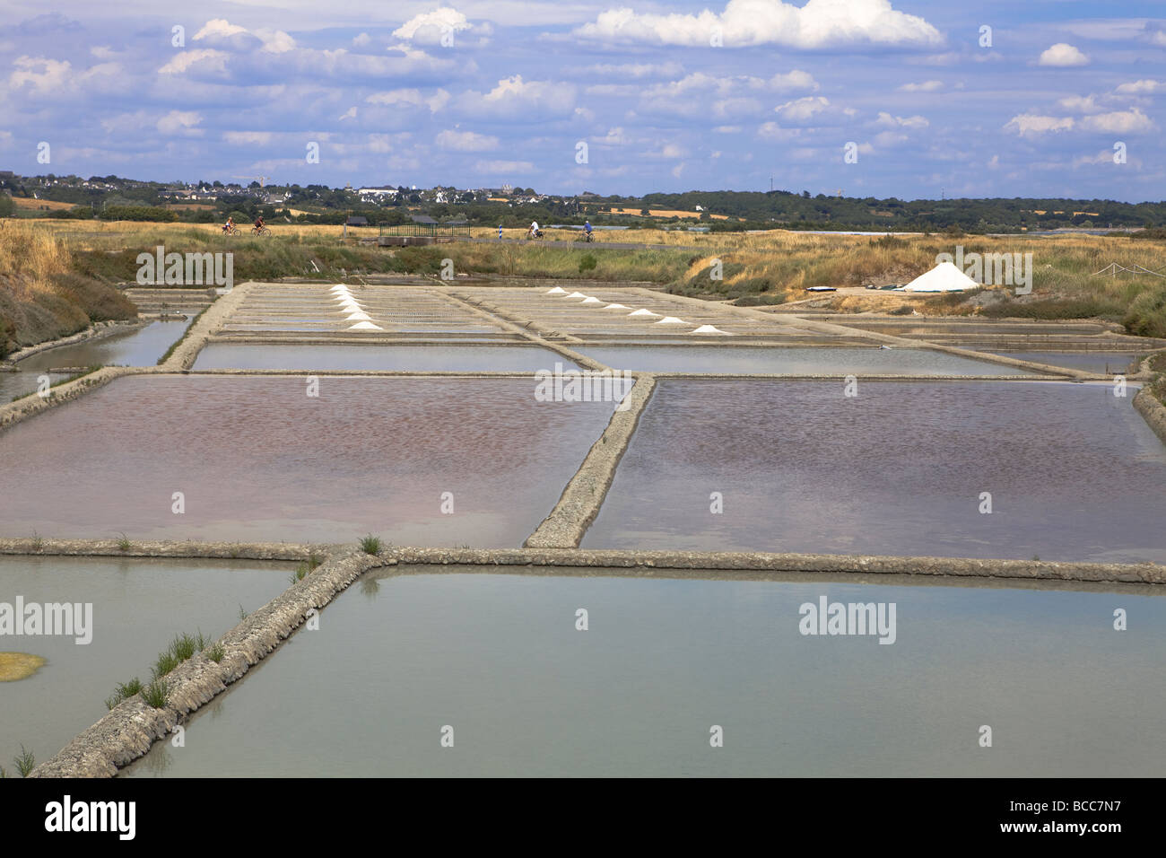 Saline marsh hi-res stock photography and images - Alamy