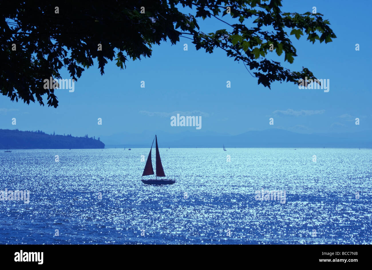 Sailing on Pacific Ocean Vancouver British Columbia Canada Stock Photo ...