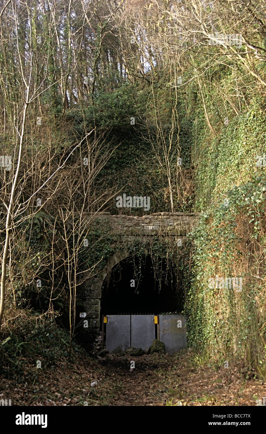 Blocked up entrance to disused railway tunnel Wales UK Stock Photo - Alamy