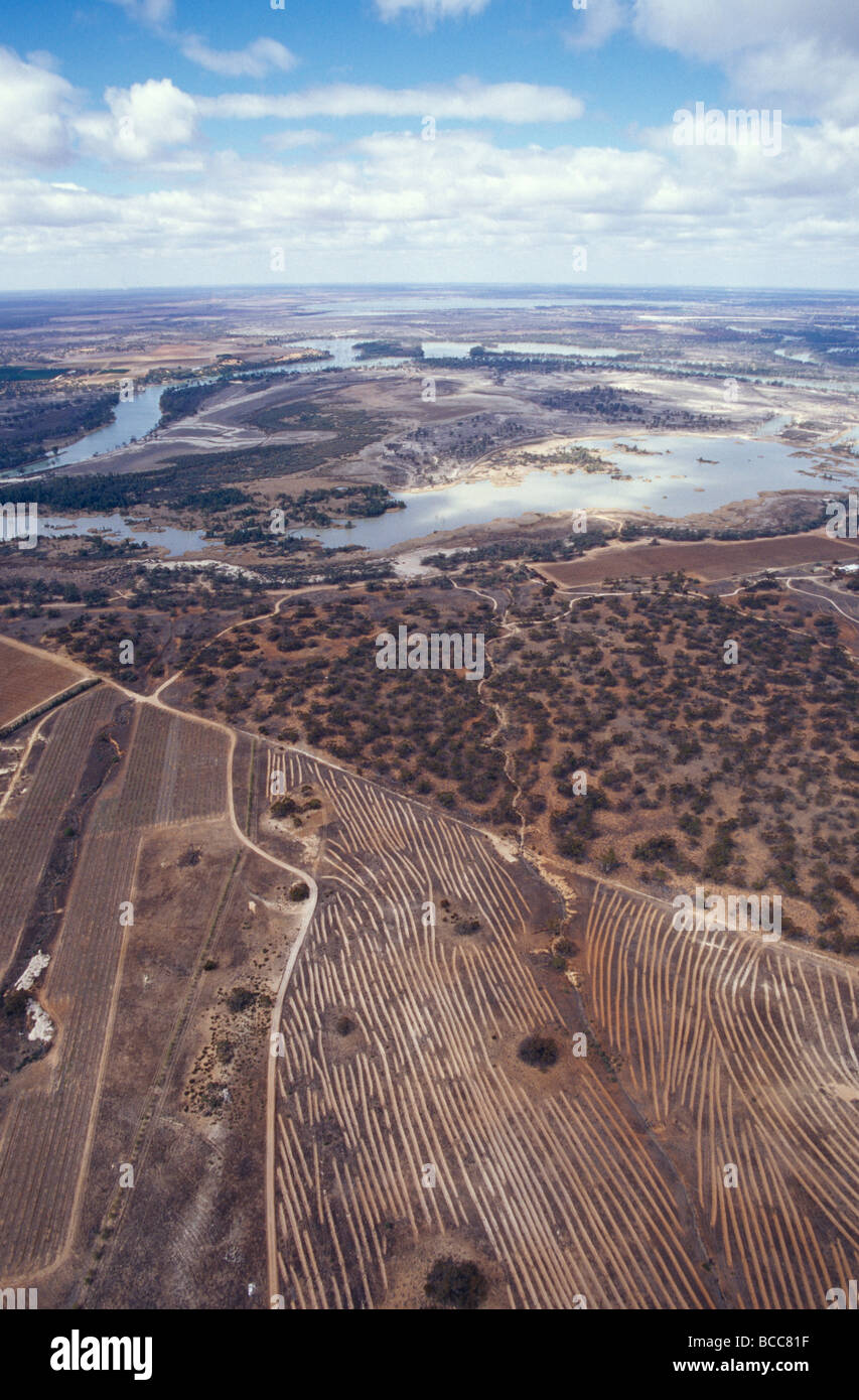 Farming on murray river hi-res stock photography and images - Alamy