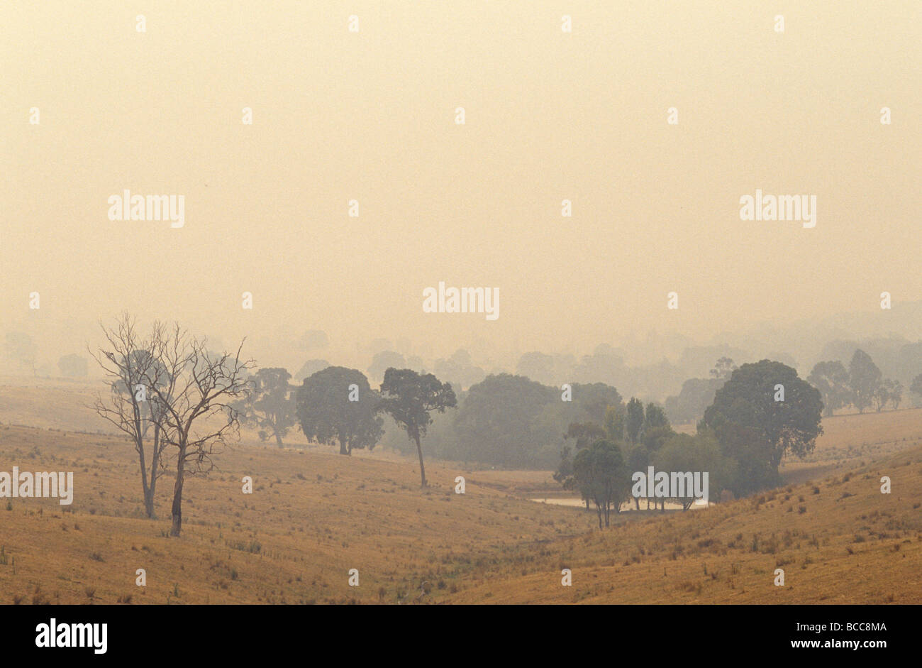 Wildfire pollution hi-res stock photography and images - Alamy