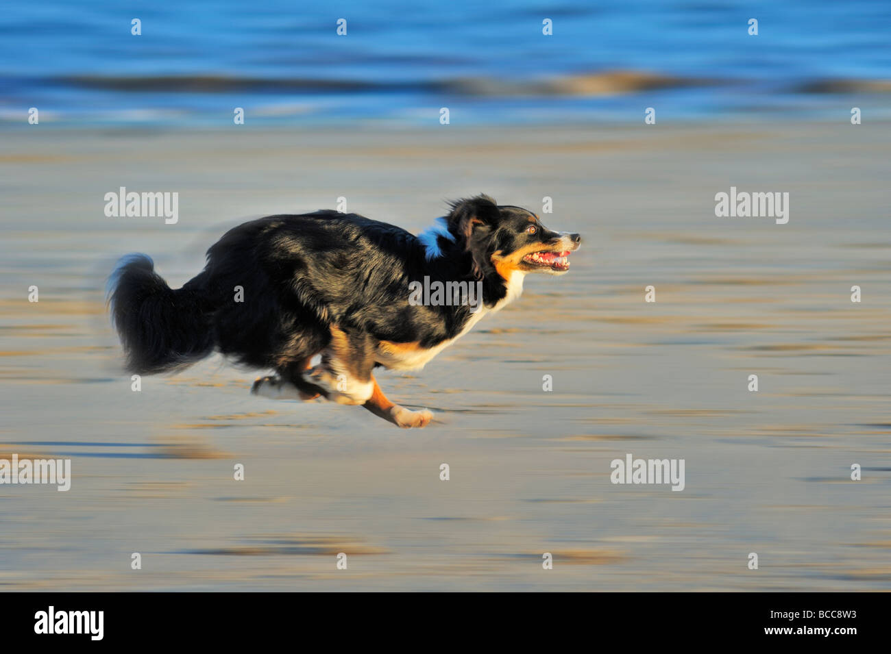 Run for the border hi-res stock photography and images - Alamy