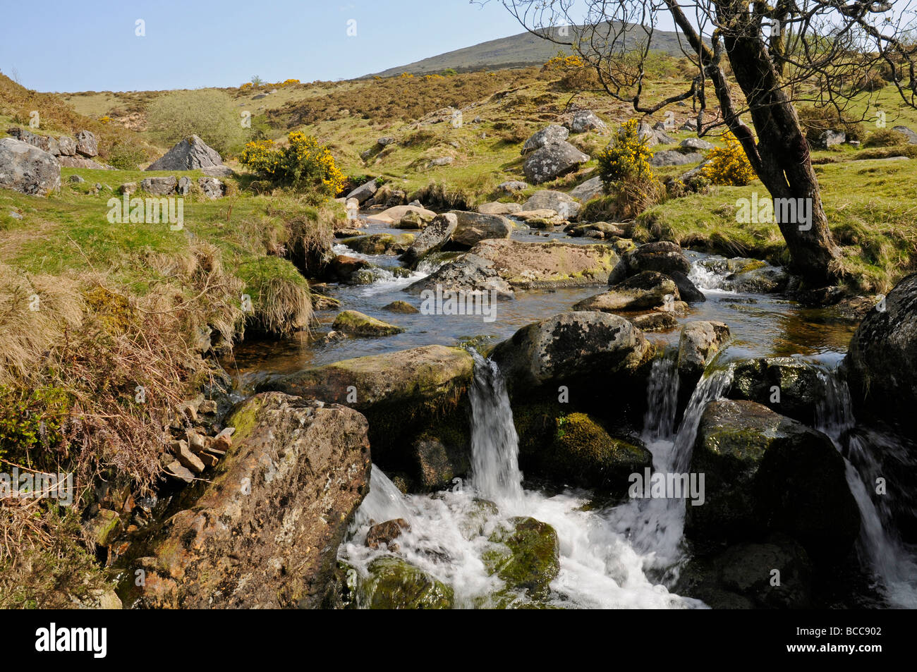 Lyd head hi-res stock photography and images - Alamy