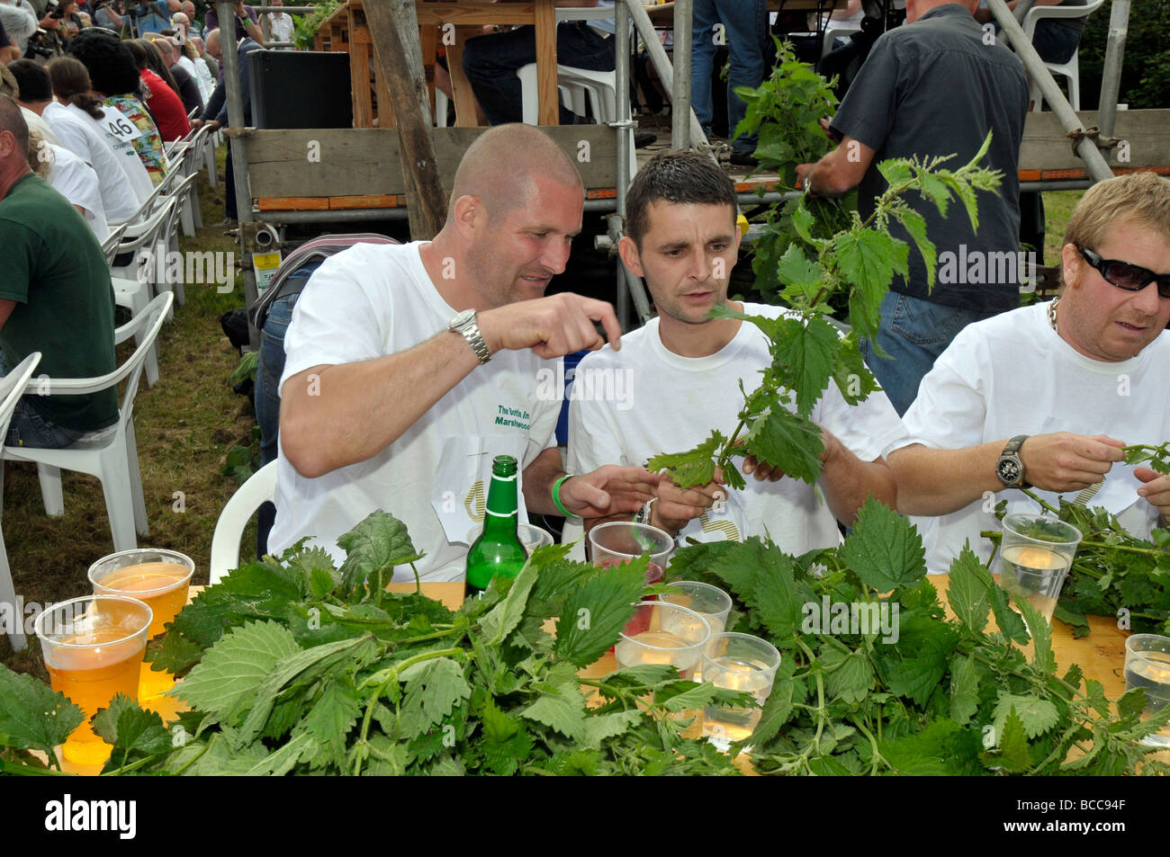 Nettle Eating Championships, Dorset, Britain Stock Photo - Alamy