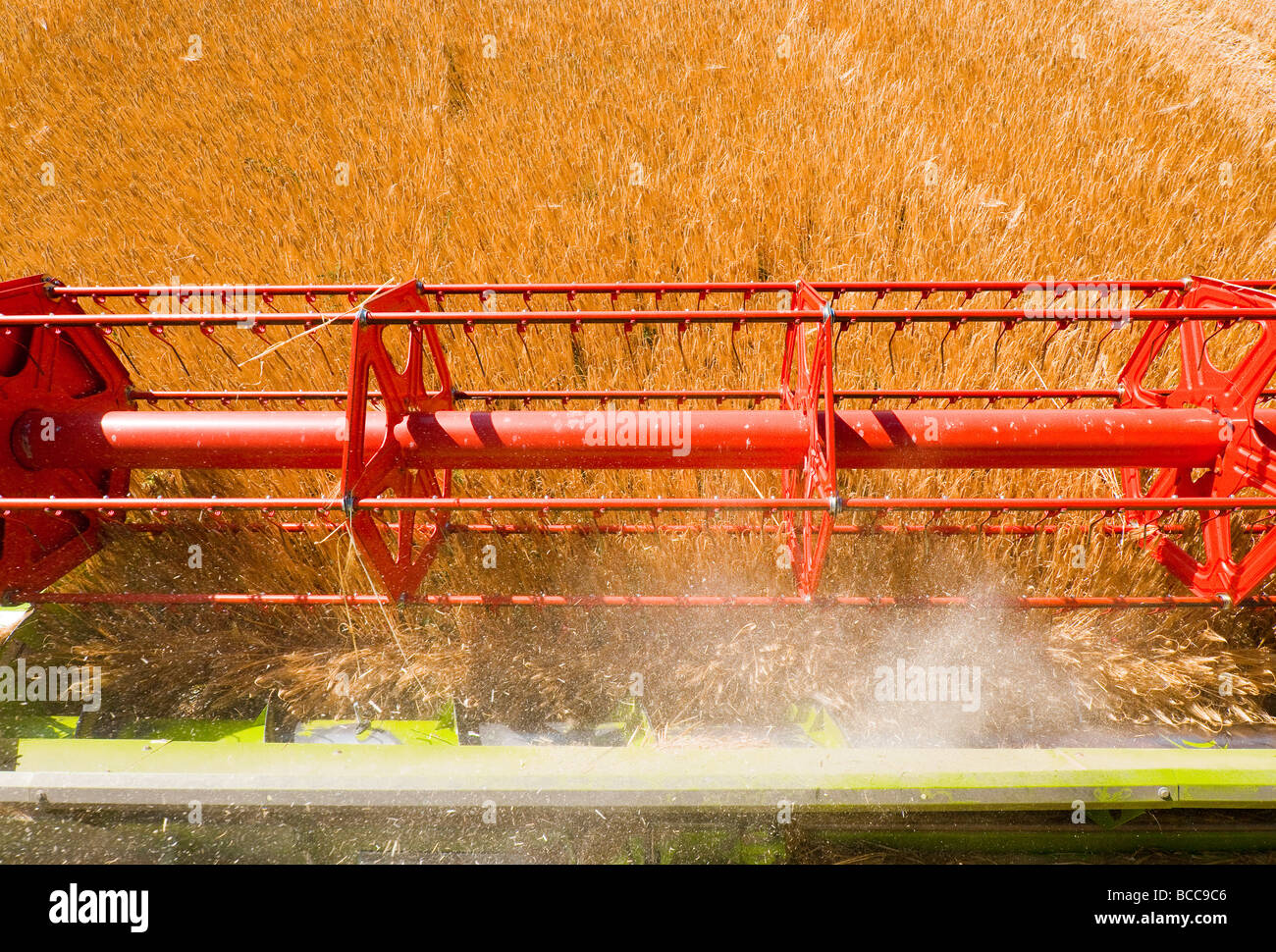 Detail of Pick-up Reel and Grain Lifter on Claas Lexion 540 combine ...