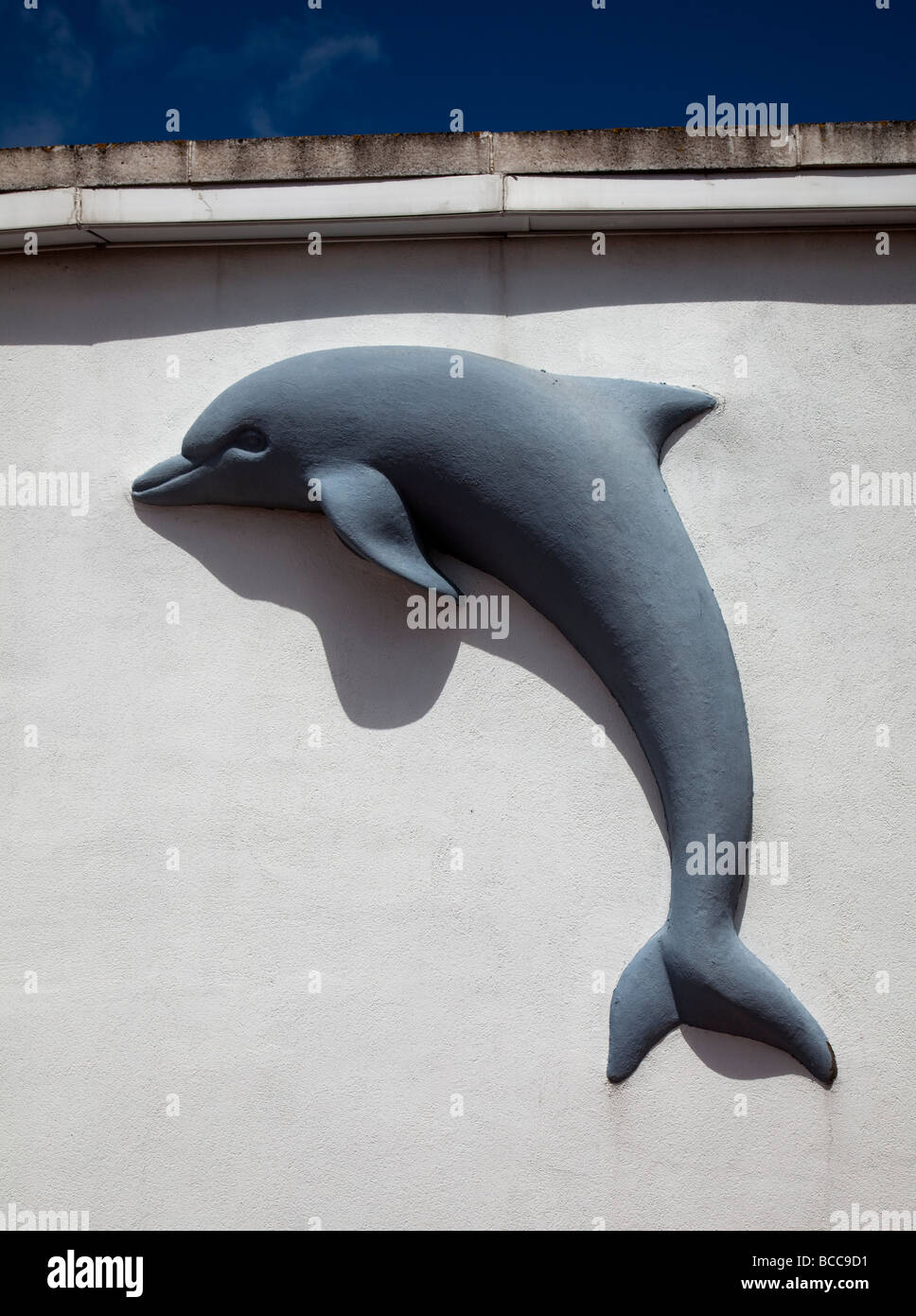 Jumping dolphin in concrete on wall of seaside building Barry Wales UK ...