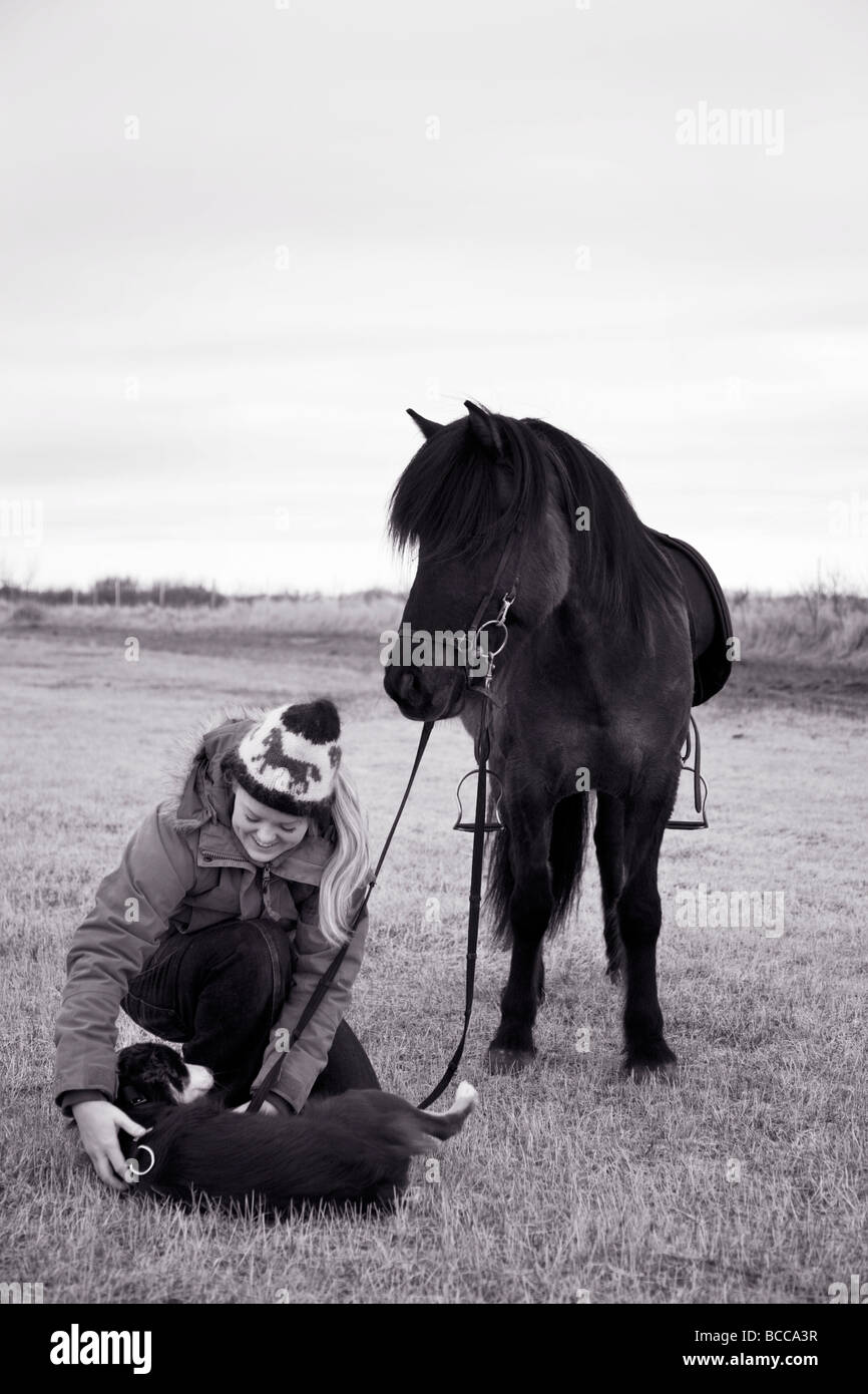 Dog riding horse hi-res stock photography and images - Alamy