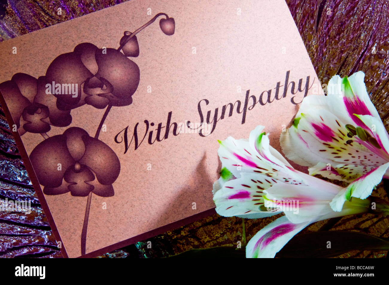 Sympathy card hi-res stock photography and images - Alamy