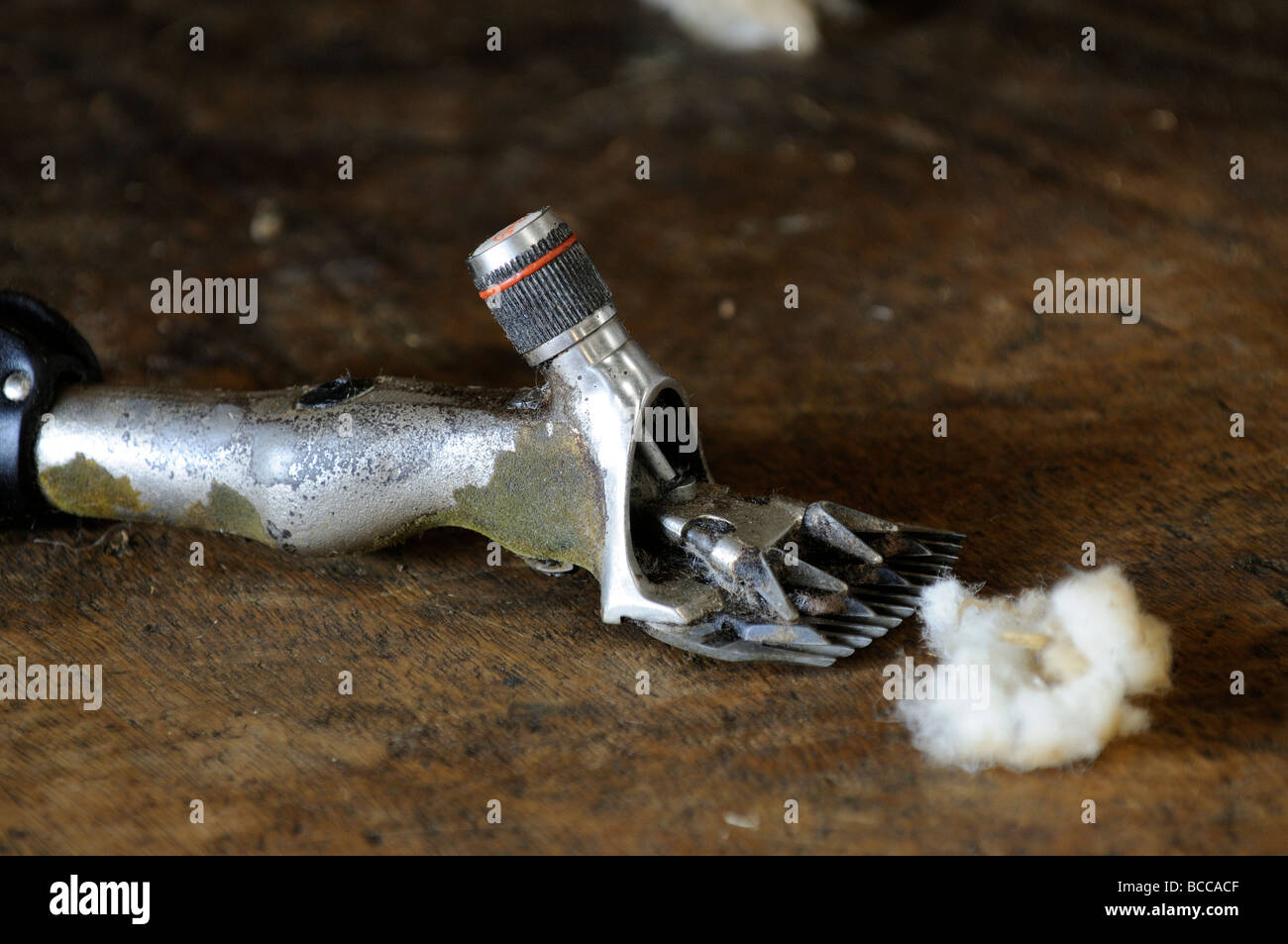 Sheep shearing machine hi-res stock photography and images - Alamy