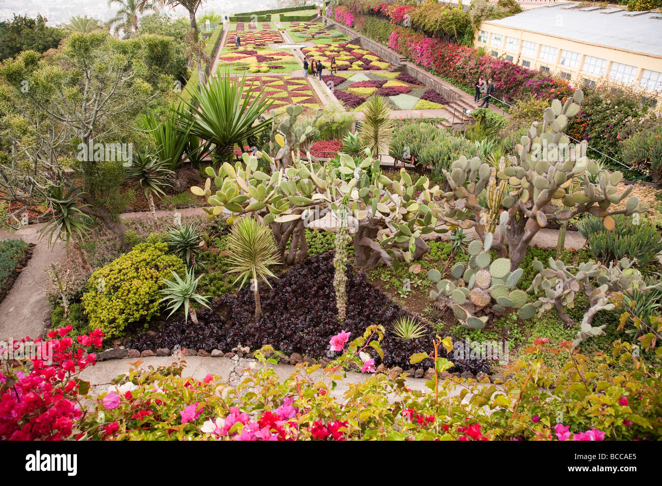 Maderia botanical gardens Stock Photo - Alamy