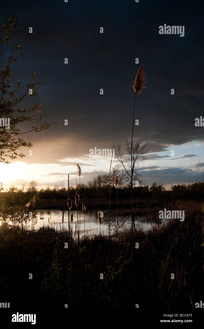 Kawkawlin hi-res stock photography and images - Alamy