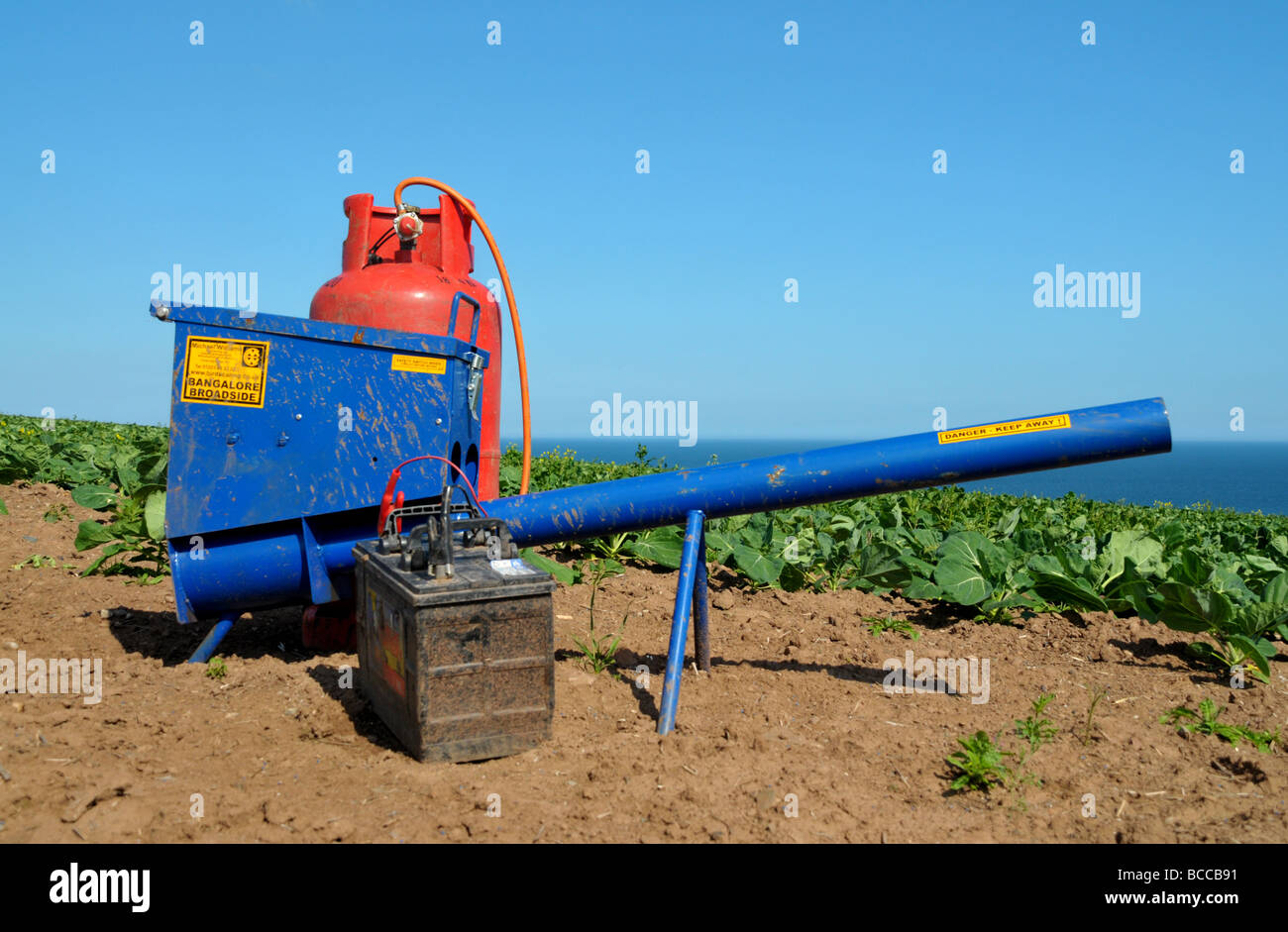 Gun bird hi-res stock photography and images - Alamy