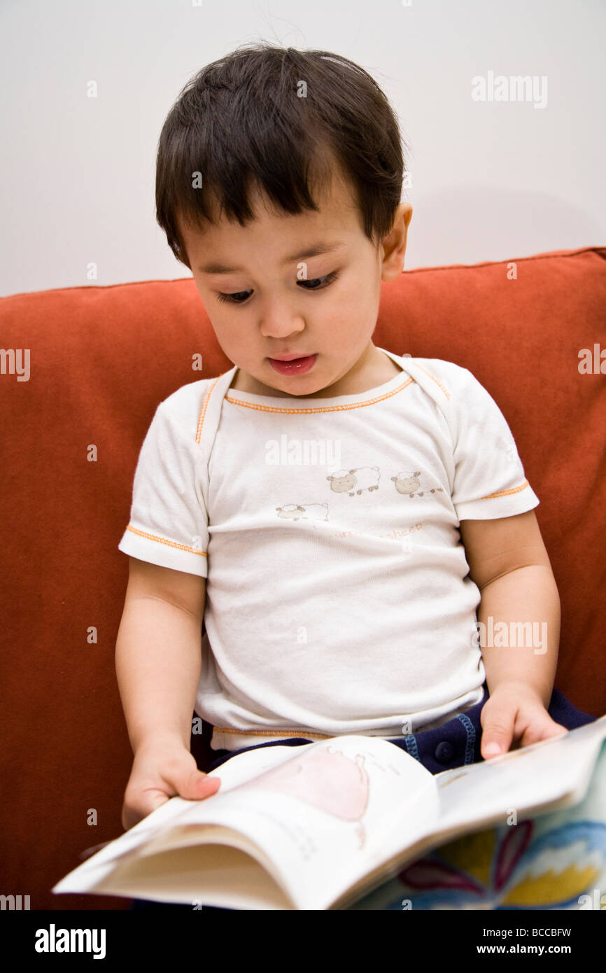 Young boy reading a book at home Stock Photo - Alamy