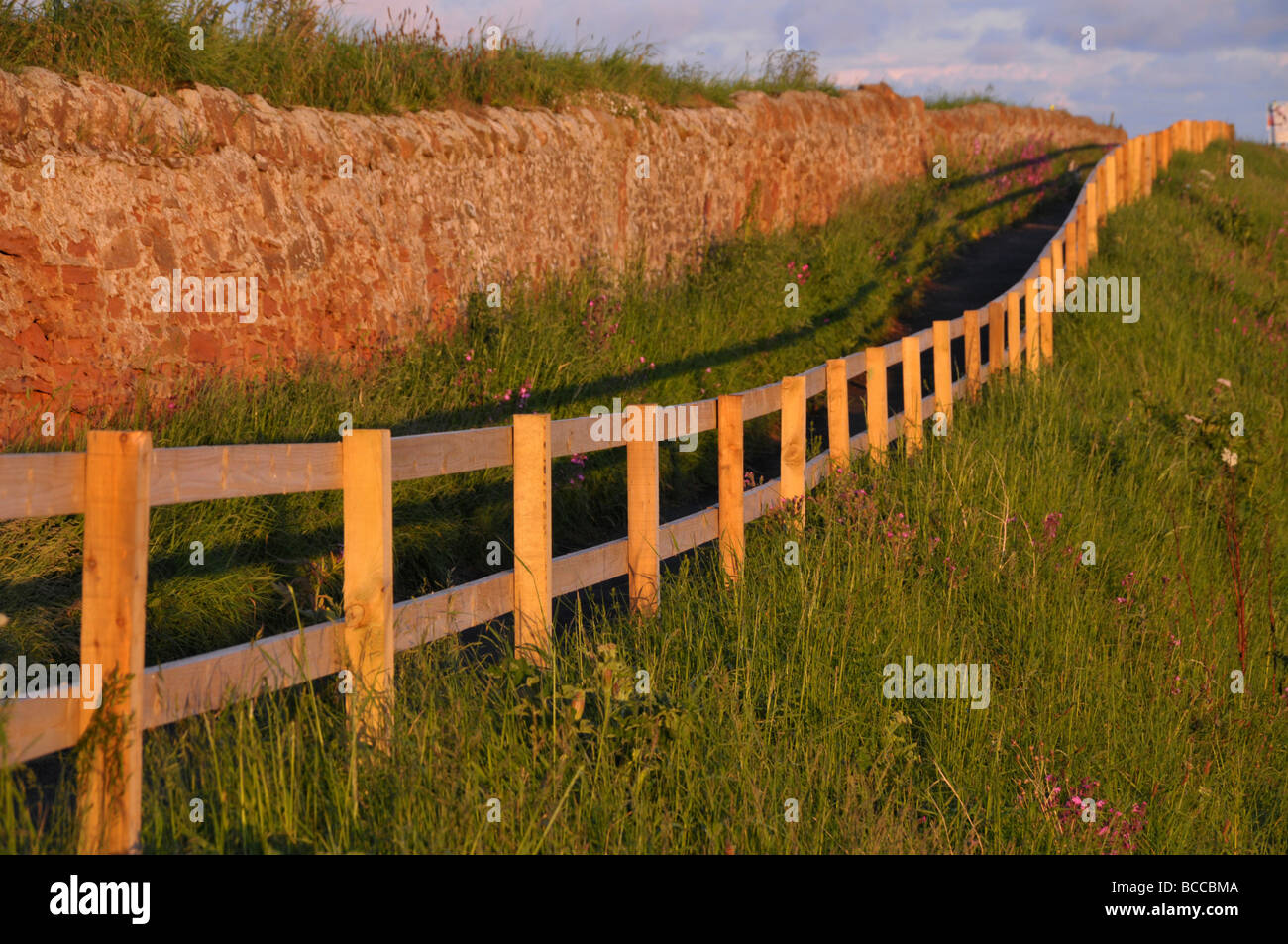 Coastal grass and fence hi-res stock photography and images - Alamy