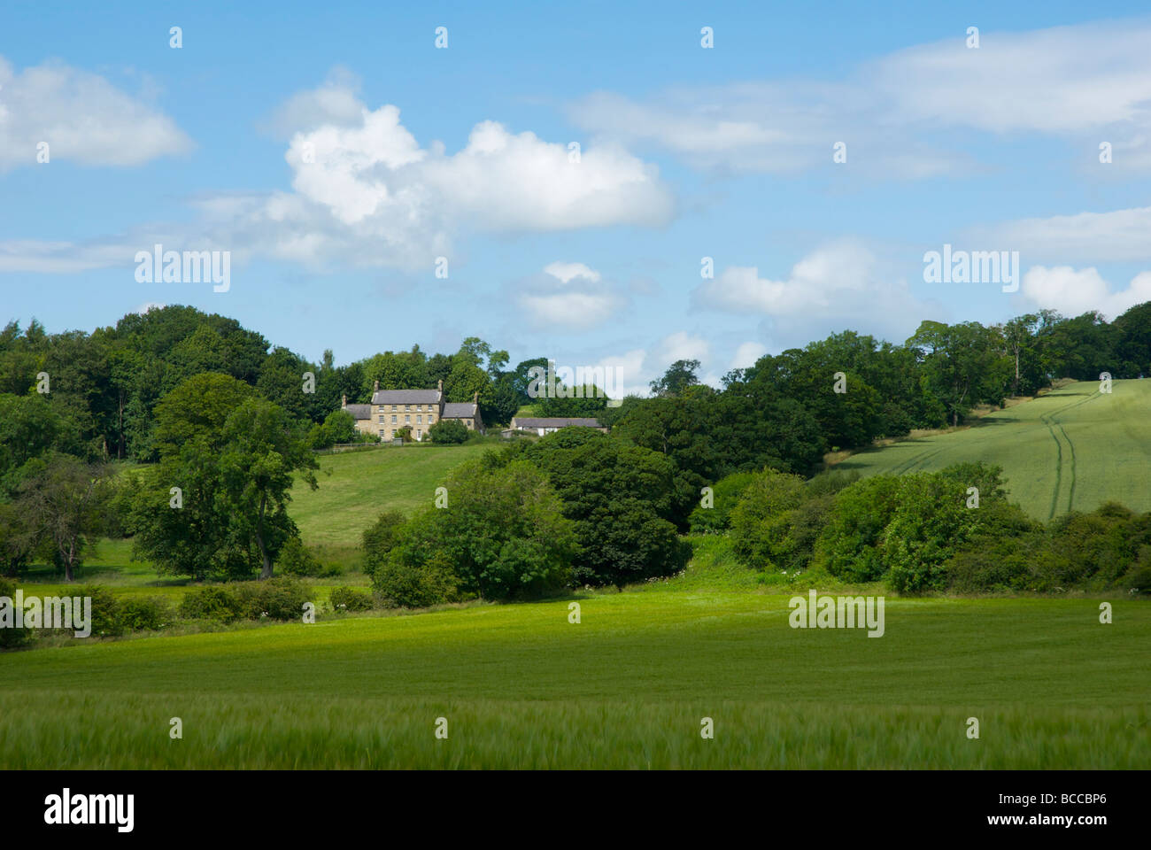 Wark farm hi-res stock photography and images - Alamy