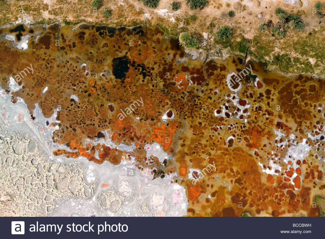 Sahara Desert Salt Niger High Resolution Stock Photography and Images ...