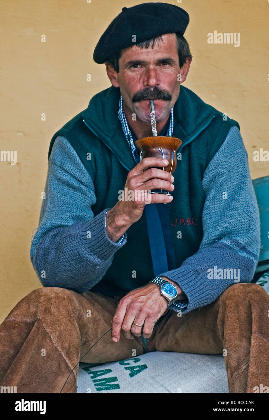 September 2008 Montevideo Uruguay Gaucho drinking the traditional yerba ...