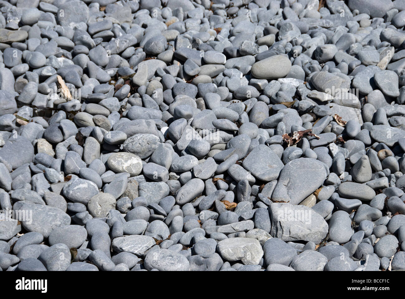 Pebbles on a beach Stock Photo - Alamy