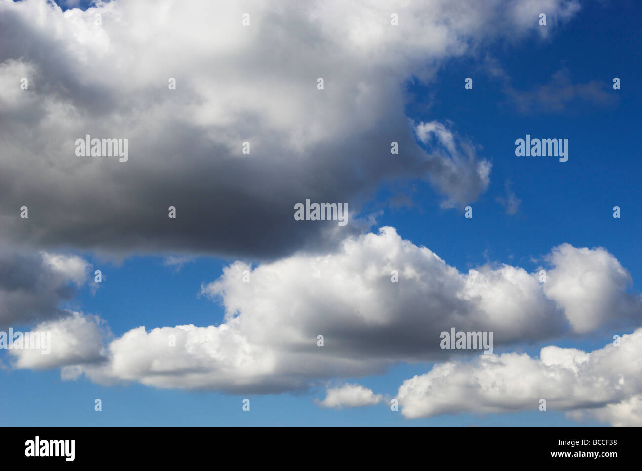 Cumulus mediocris clouds Stock Photo - Alamy