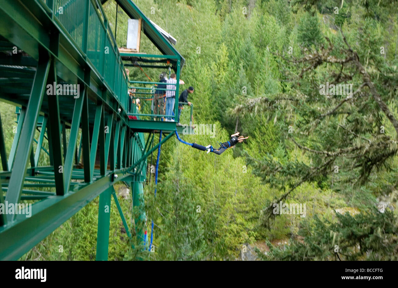 Bungee jumping from bridge hi-res stock photography and images - Alamy