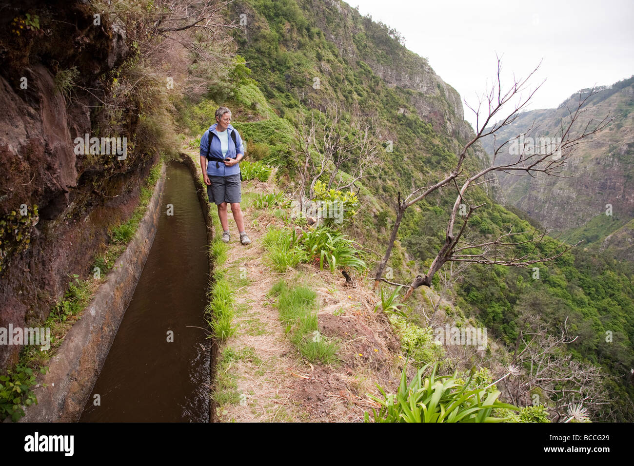 Levadas, water irrigation channels, on the island of Madeira are now ...