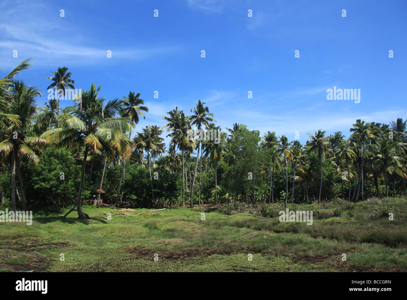 Ponnumthuruthu golden island hi-res stock photography and images - Alamy