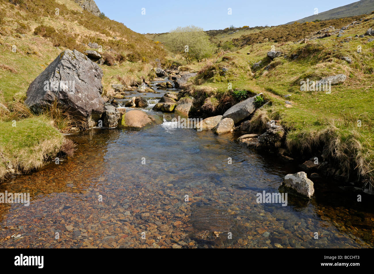 The River Lyd close to its source in northwest Dartmoor Stock Photo - Alamy