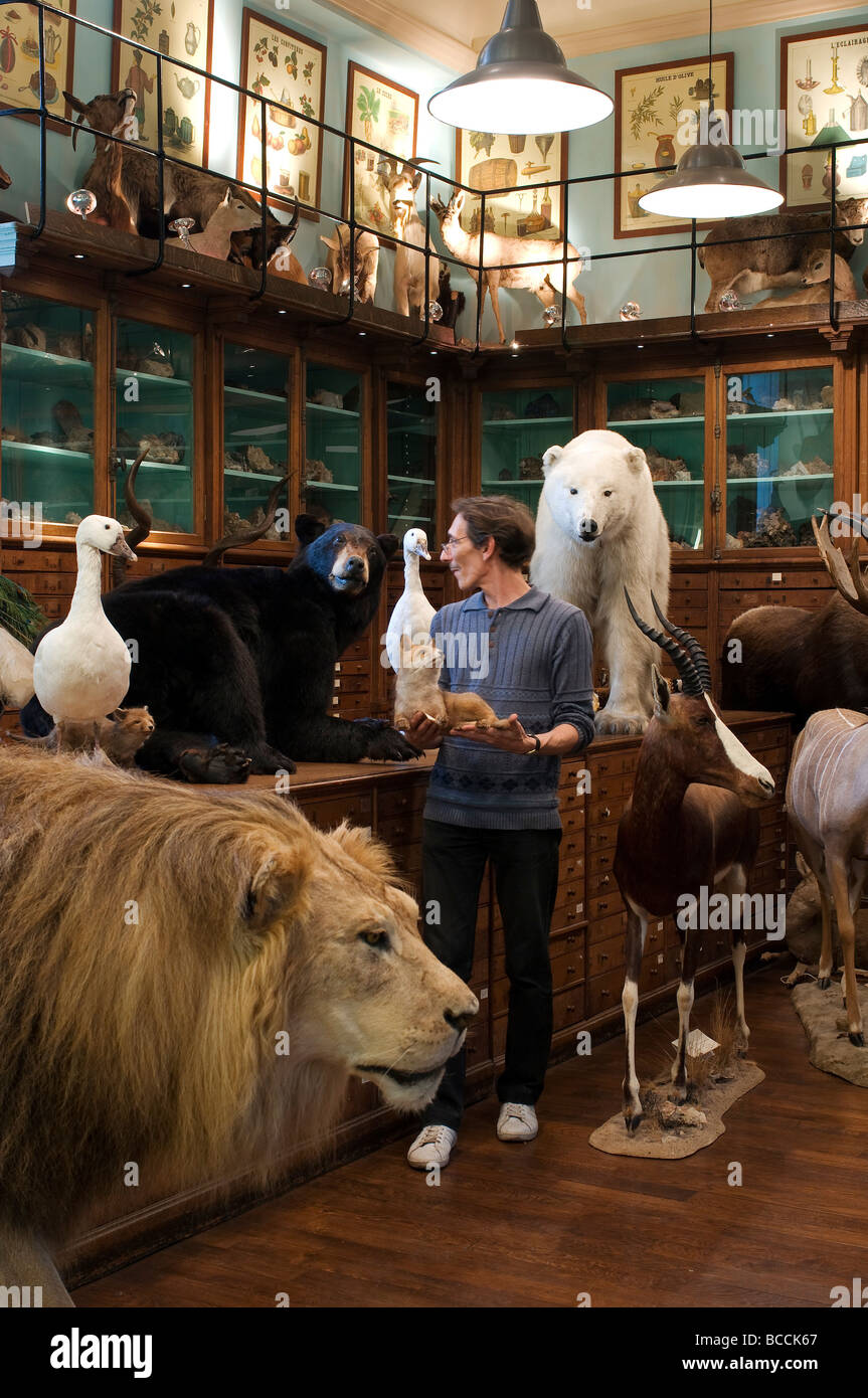 France, Paris, Maison Deyrolle (taxidermist) in Rue du bac Stock Photo ...