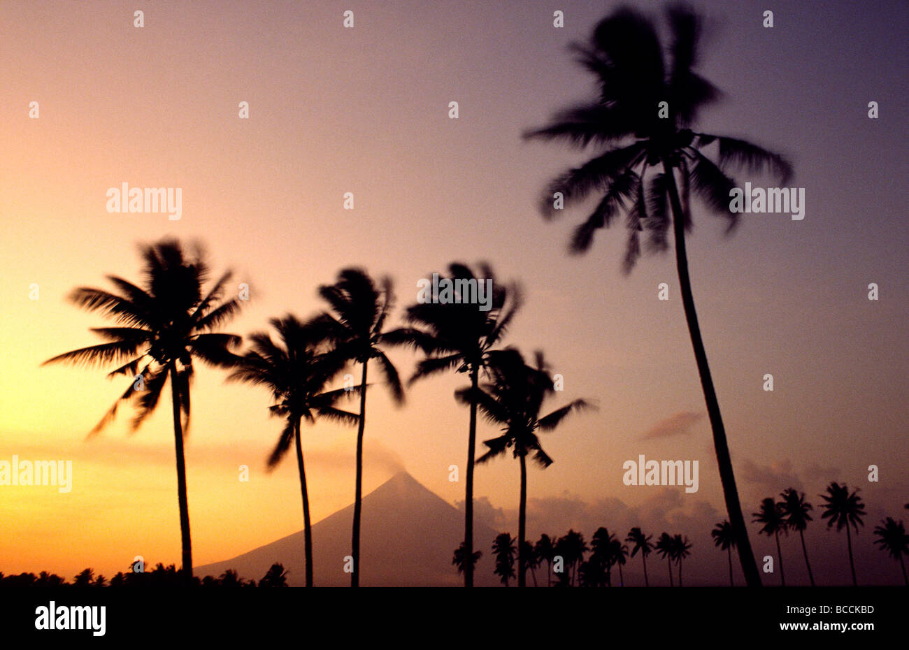 Philippines, Luzon Island, Mayon Volcano at 8 077,43 ft high Stock ...