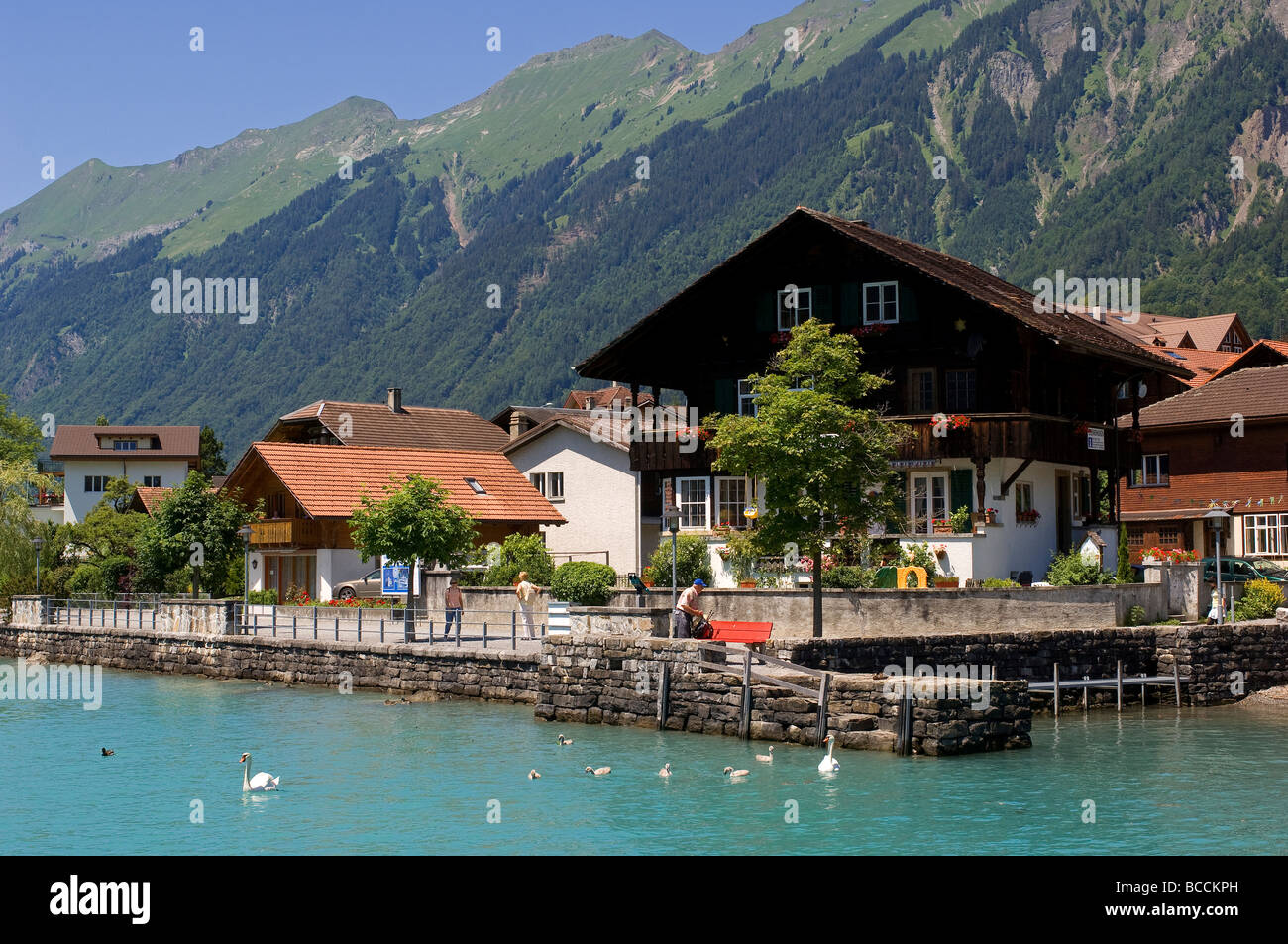 Switzerland, Canton of Bern, Bernese Oberland, Lake Brienz (Brienzer ...
