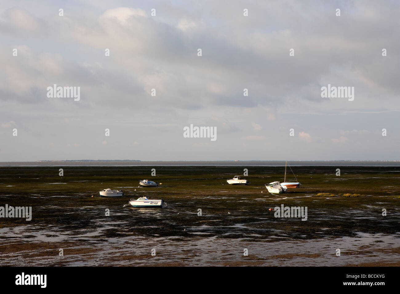 France, Charente Maritime, Ile d' Oleron, La Baudissiere, foreshore ...