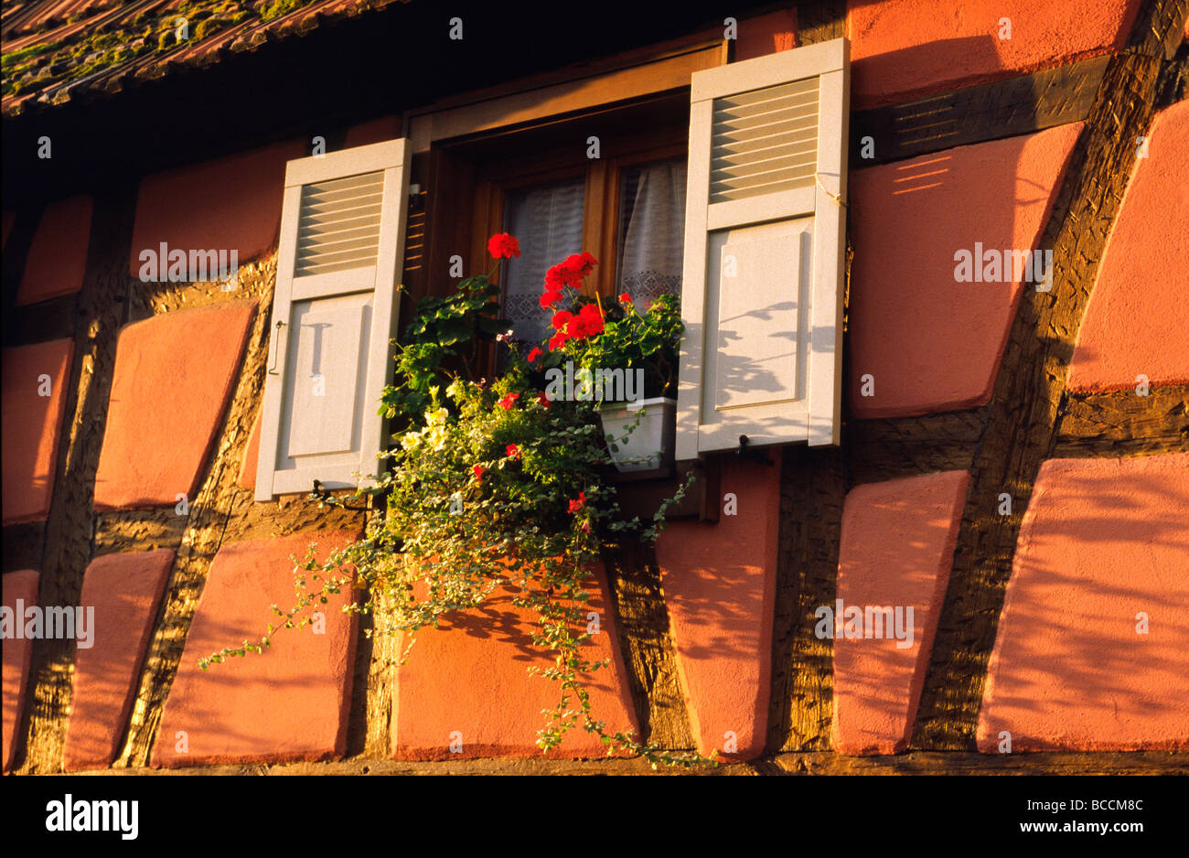 France, Bas Rhin, Marienthal, traditional half-timbering house Stock ...