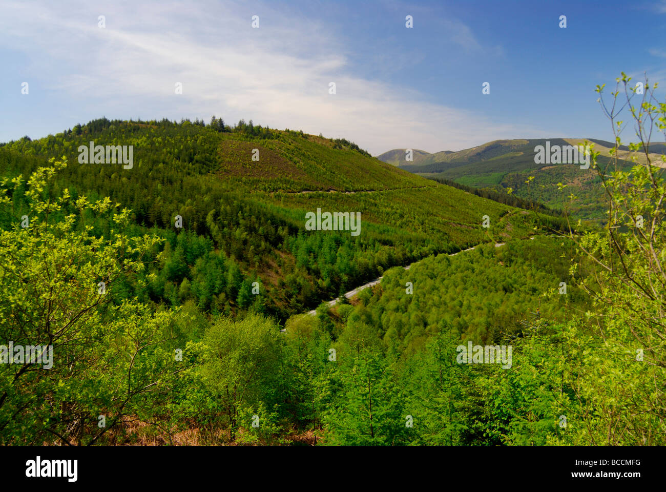Dyfi Forest and Tarren Hills Powys Mid Wales UK Stock Photo - Alamy