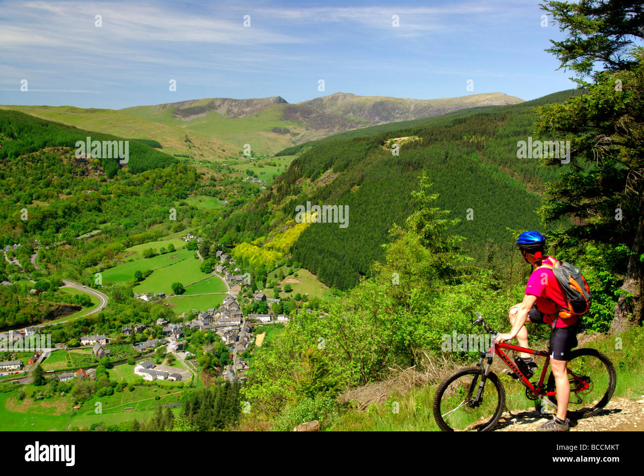 Cadair Idris View above Corris in the Dyfi Forest looking to Cadair ...