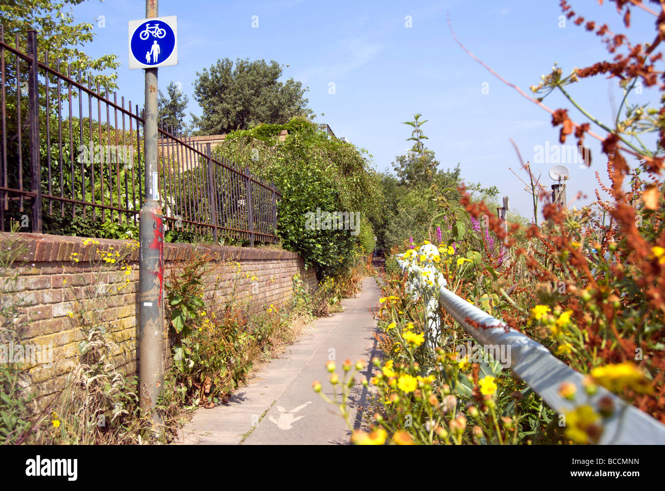 Shared pathway hi-res stock photography and images - Alamy