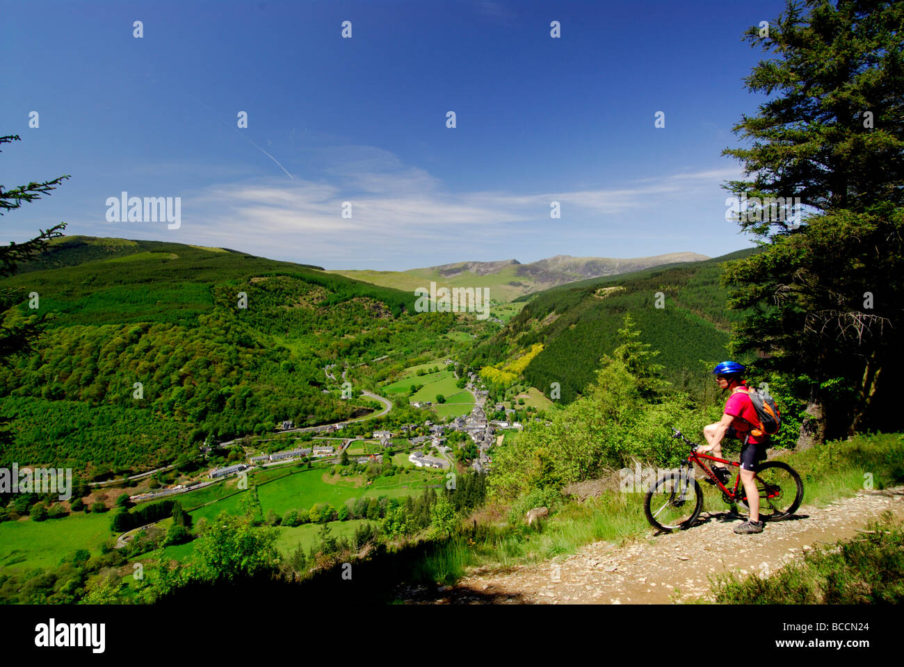 Cadair View above Corris in the Dyfi Forest cyclist looking to Cadair ...