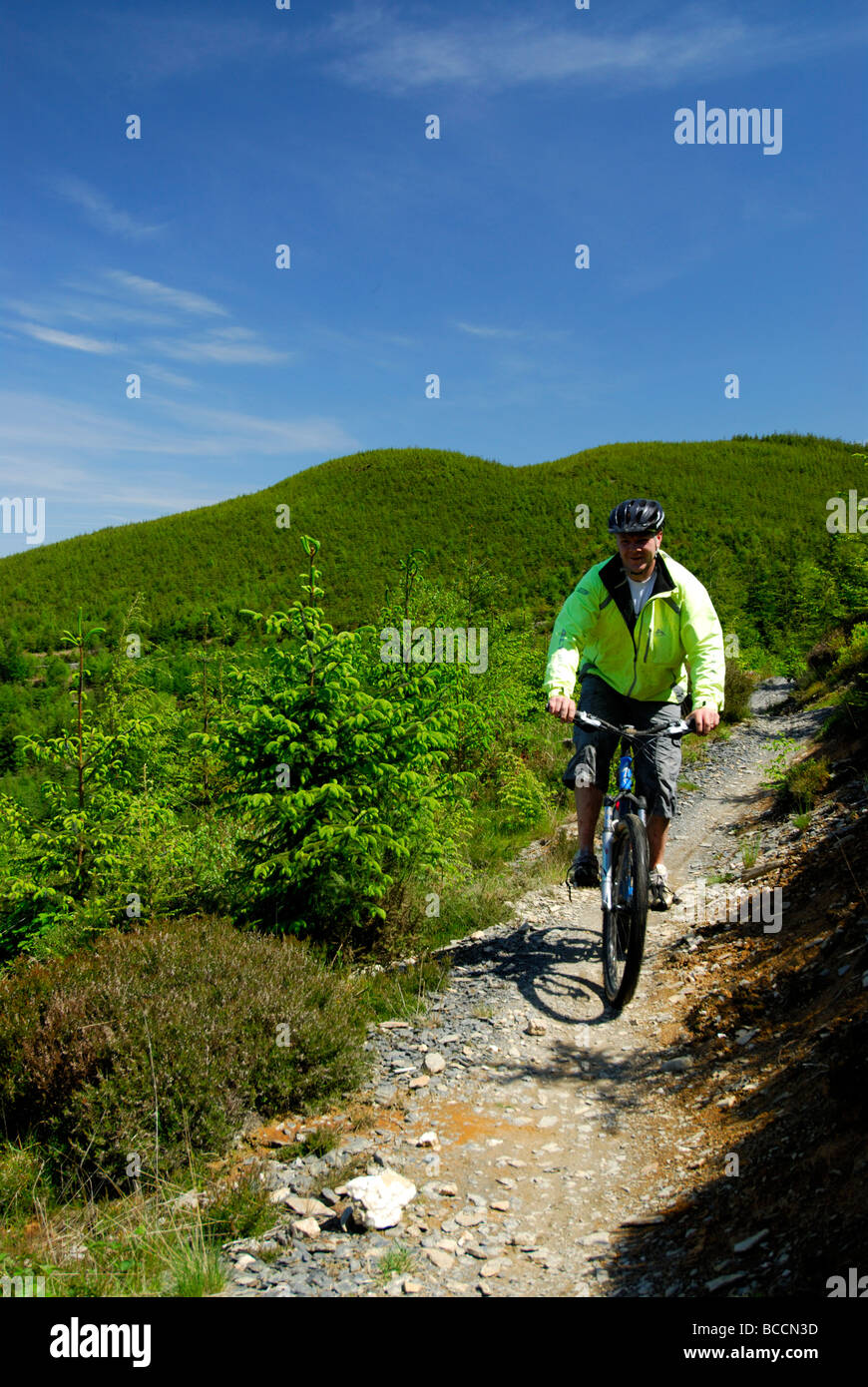 Dyfi forest wales hi-res stock photography and images - Alamy