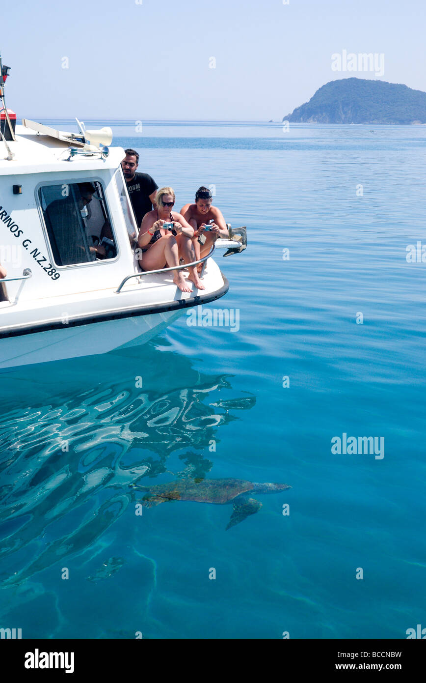 people on tourist boat watching loggerhead turtle (caretta caretta ...