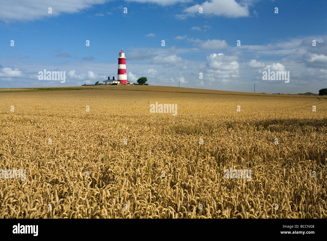 Trinity house lighthouse authority hi-res stock photography and images ...