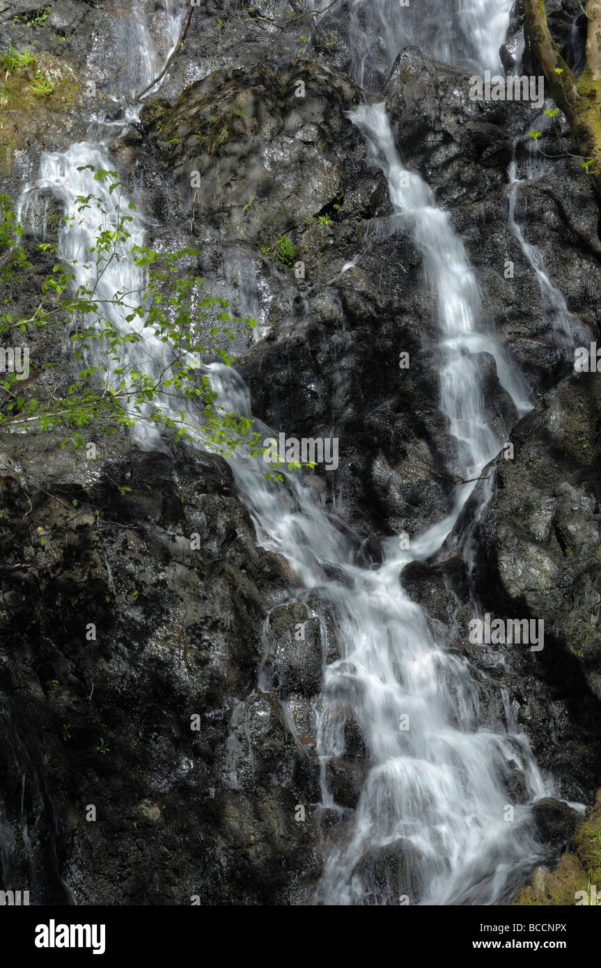 Waterfalls at Wood of Cree, near Newton Stewart, Dumfries & Galloway ...