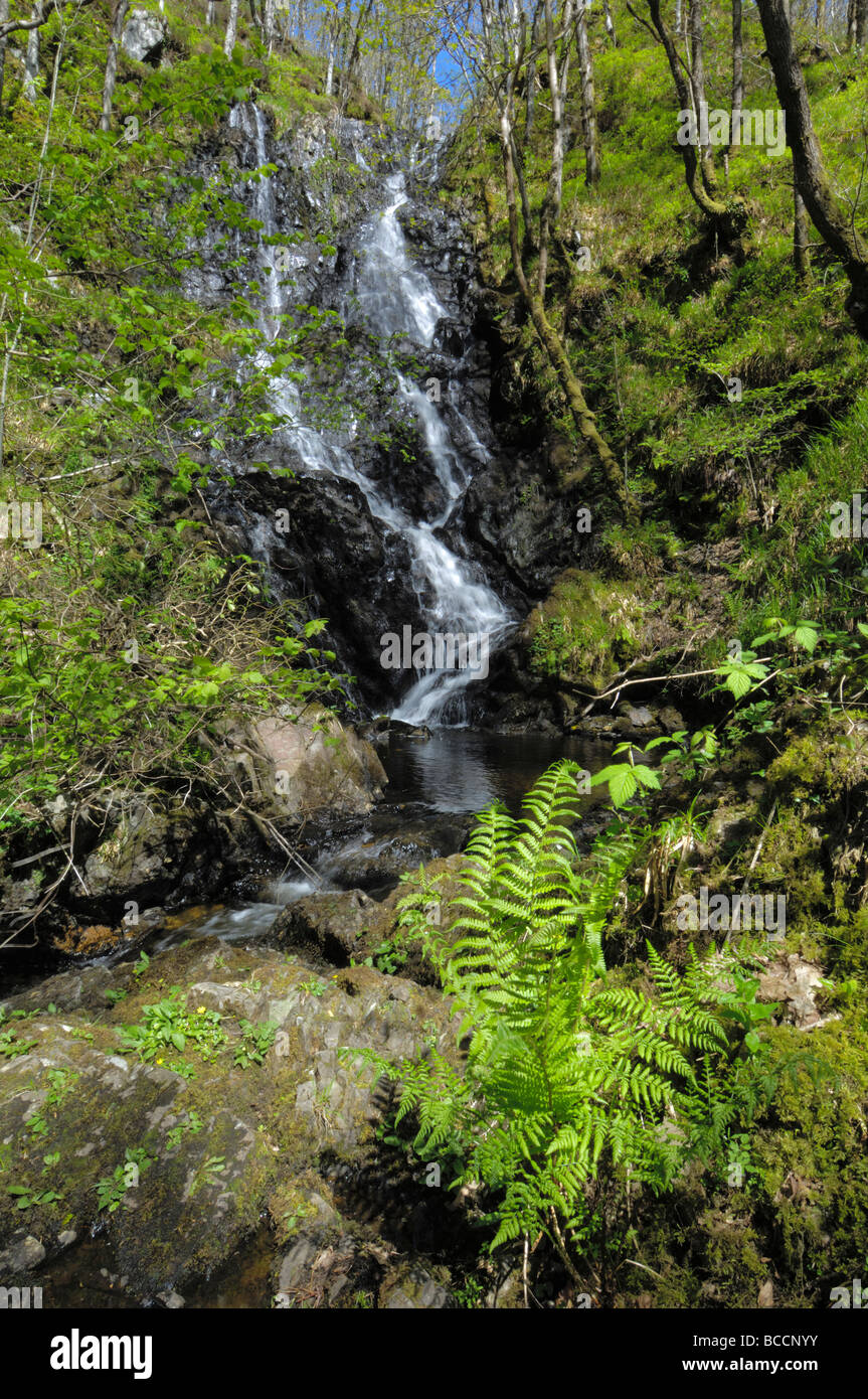 Waterfalls at Wood of Cree, near Newton Stewart, Dumfries & Galloway ...