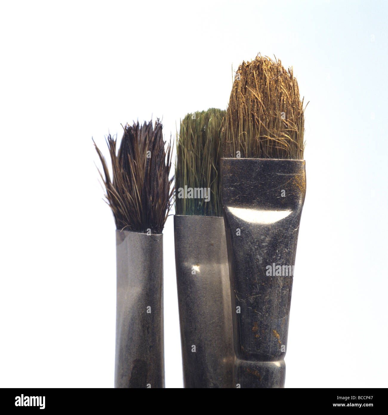 Different types of brushes used for painting and artistic applications ...