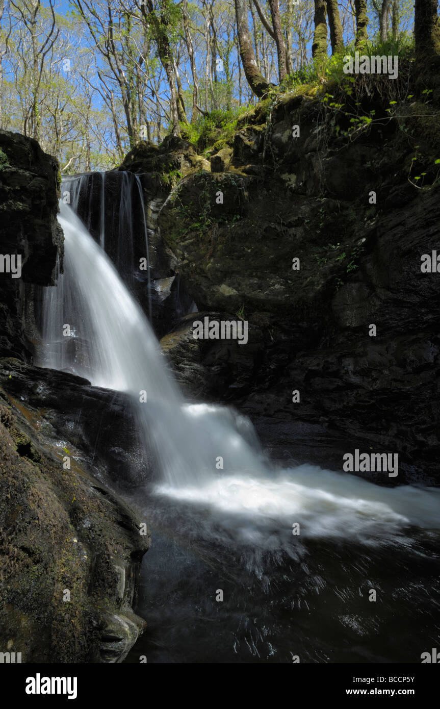 Waterfalls at Wood of Cree, near Newton Stewart, Dumfries & Galloway ...