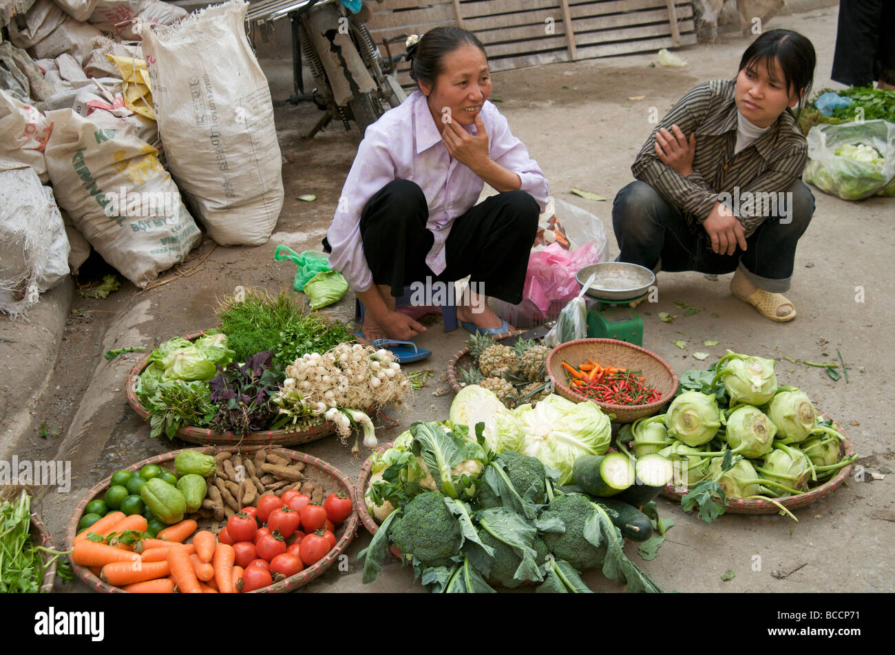 A Vietnamese woman squats by her fresh vegetable stall on the pavement ...