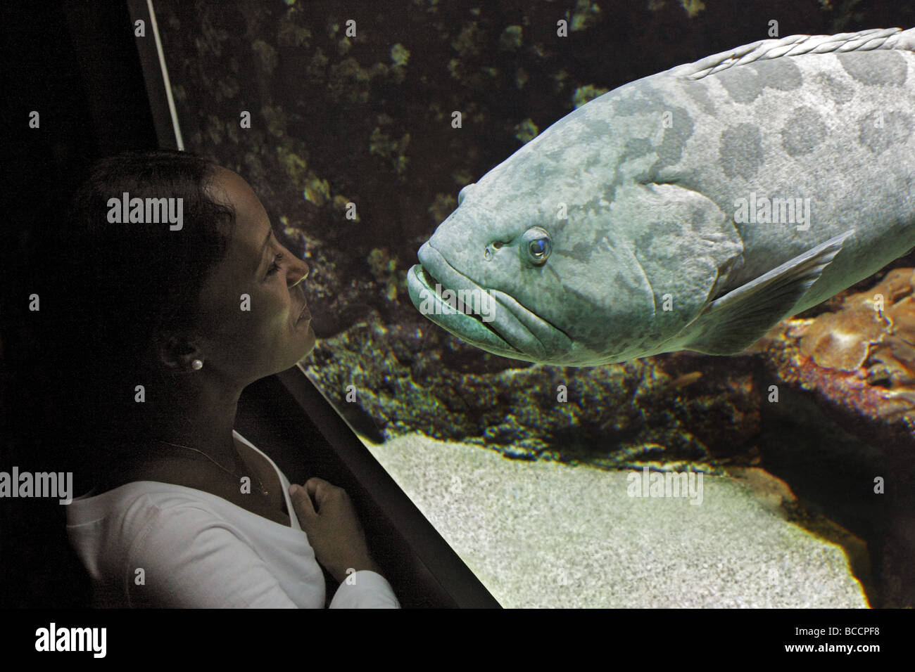 Educational aquarium visit hi-res stock photography and images - Alamy