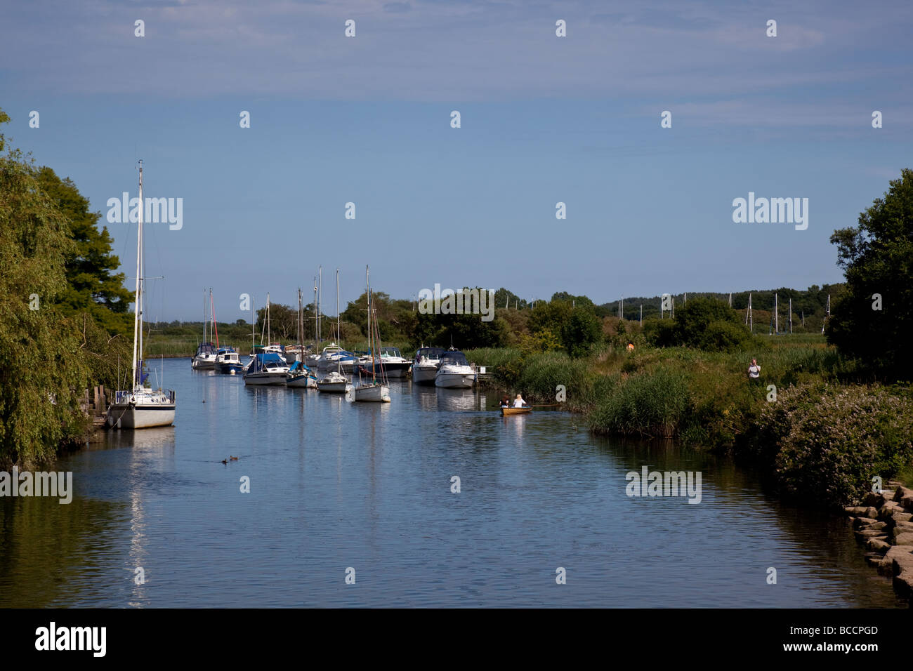 Near wareham hi-res stock photography and images - Alamy