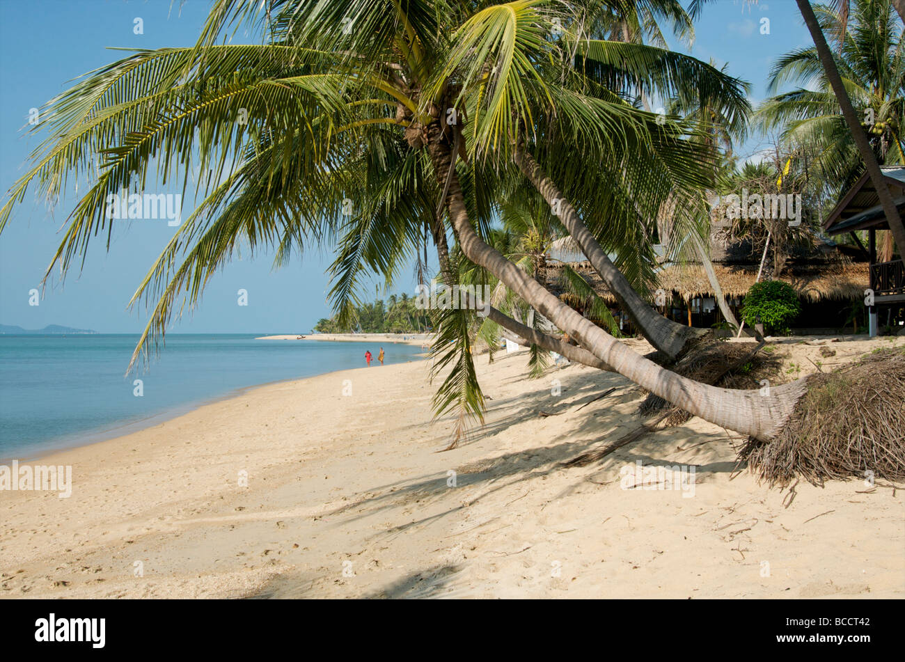 Maenam beach on the tropical Thai island of Koh Samui in the gulf of ...