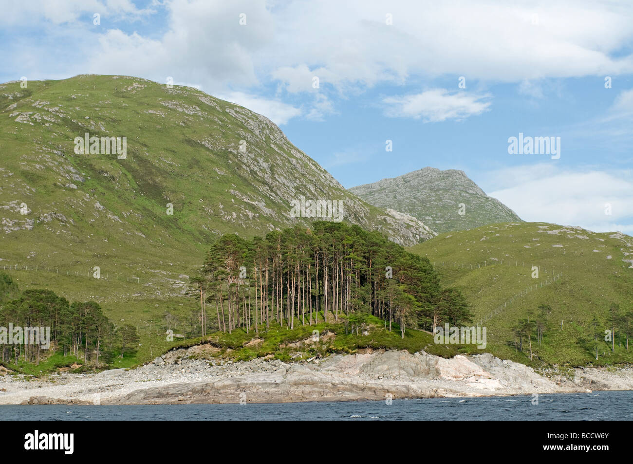 Scottish grazers hi-res stock photography and images - Alamy