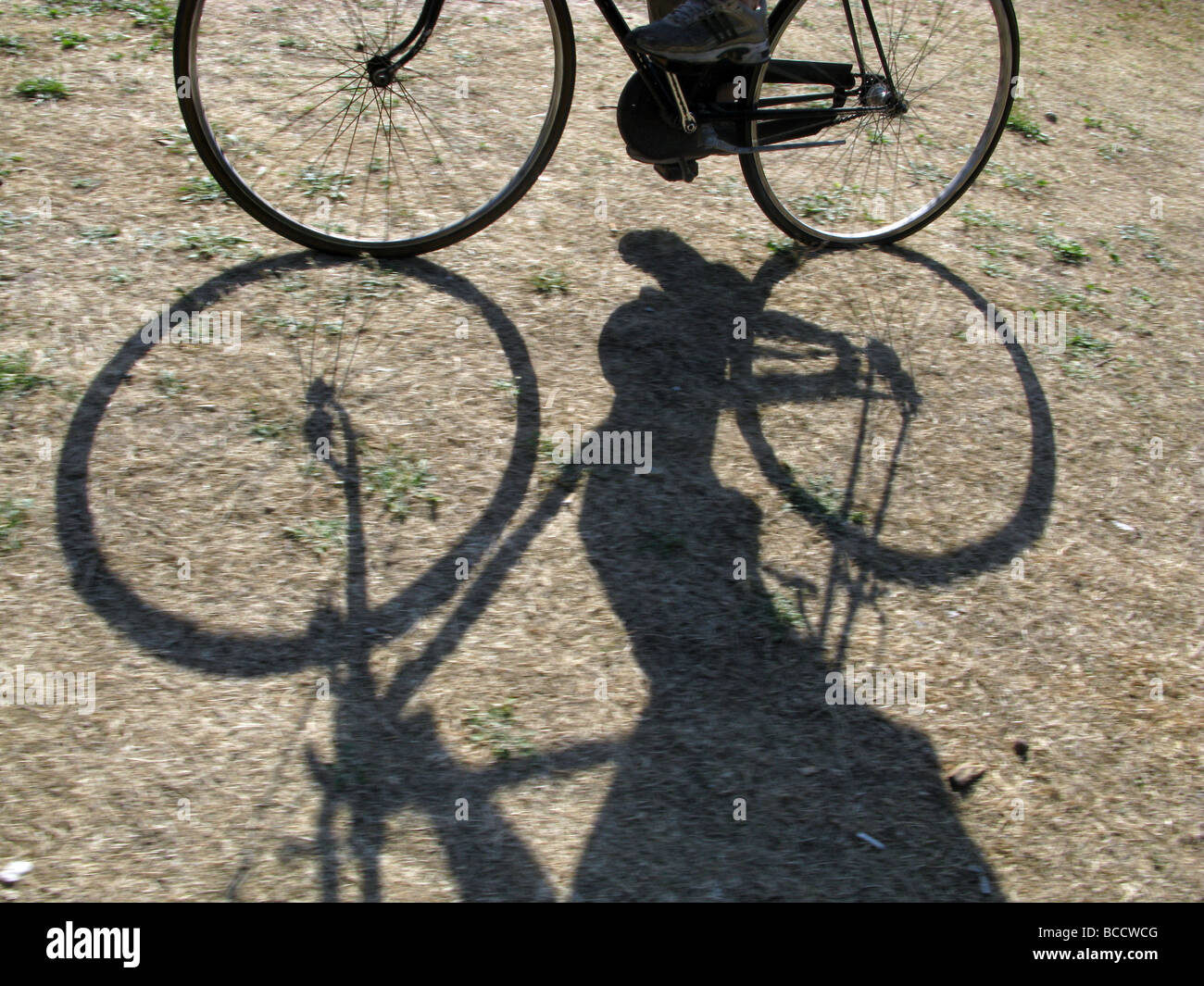 Up empty pavement and street in morning sun hi-res stock photography ...