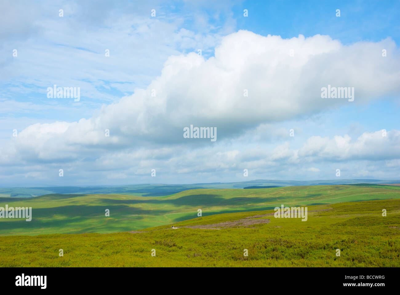 Moorland near Bellingham, Northumberland National Park, England UK ...